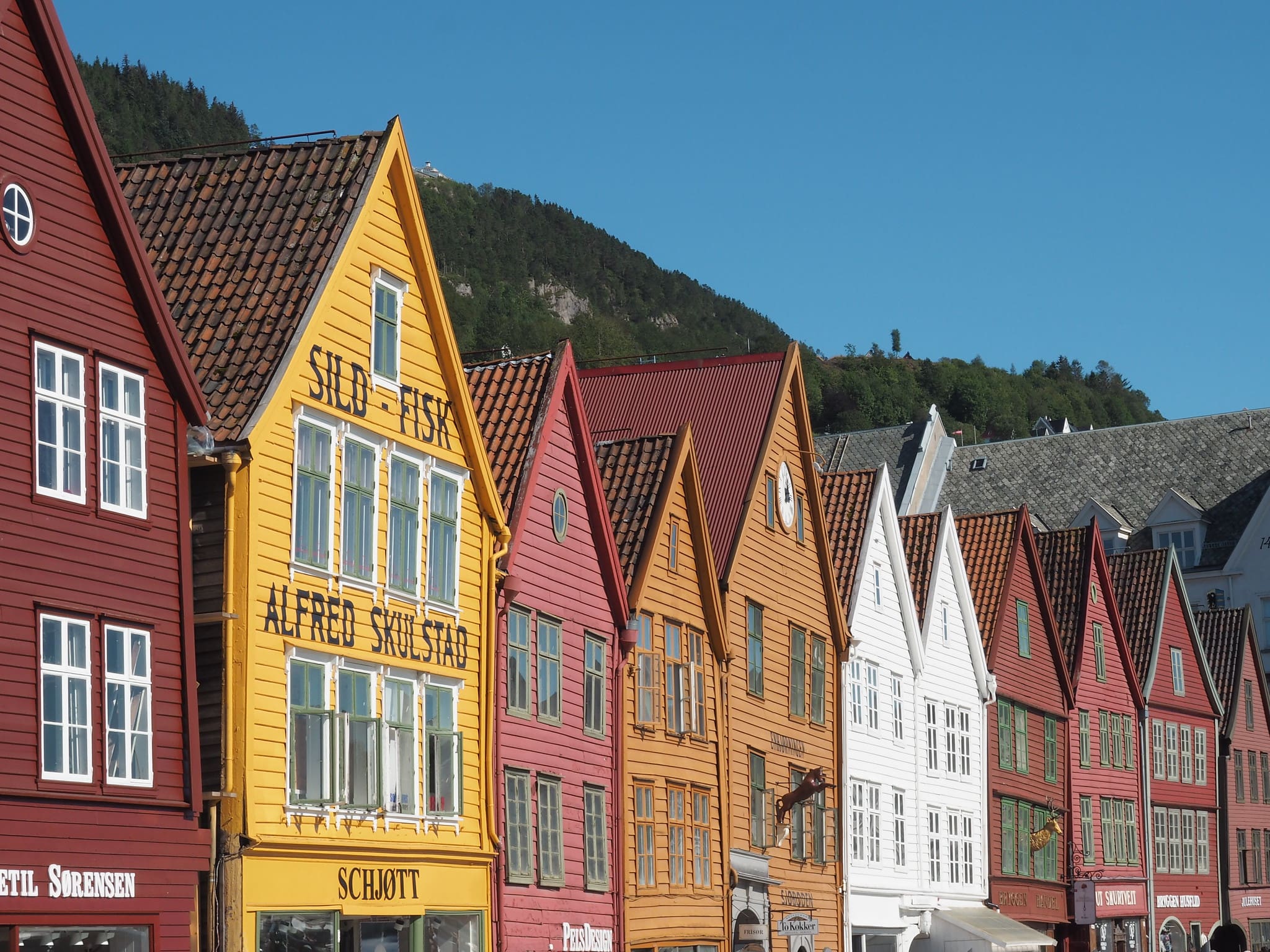 Visiter Bergen en Norvège : ce qu'il ne faut pas manquer